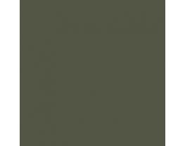 Andiron SW6174 Paint by Sherwin-Williams - modlar.com