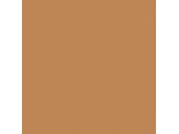 Antiquarian Brown SW0045 Paint by Sherwin-Williams - modlar.com