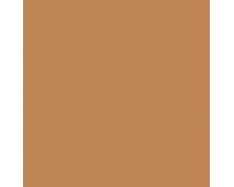 Antiquarian Brown SW0045 Paint by Sherwin-Williams - modlar.com
