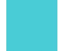 Aquarium SW6767 Paint by Sherwin-Williams - modlar.com