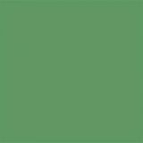 Arugula SW6446 Paint by Sherwin-Williams - modlar.com