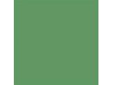 Arugula SW6446 Paint by Sherwin-Williams - modlar.com