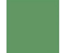 Arugula SW6446 Paint by Sherwin-Williams - modlar.com
