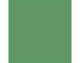 Arugula SW6446 Paint by Sherwin-Williams - modlar.com