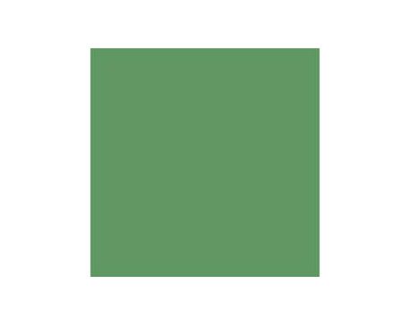 Arugula SW6446 Paint by Sherwin-Williams - modlar.com