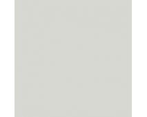 Austere Gray SW6184 Paint by Sherwin-Williams - modlar.com