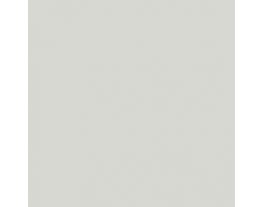 Austere Gray SW6184 Paint by Sherwin-Williams - modlar.com