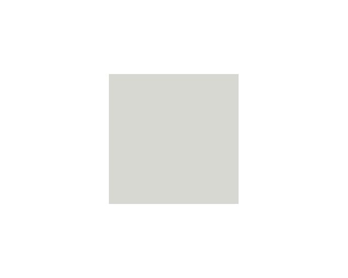 Austere Gray SW6184 Paint by Sherwin-Williams - modlar.com