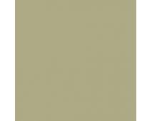 Avocado SW2861 Paint by Sherwin-Williams - modlar.com