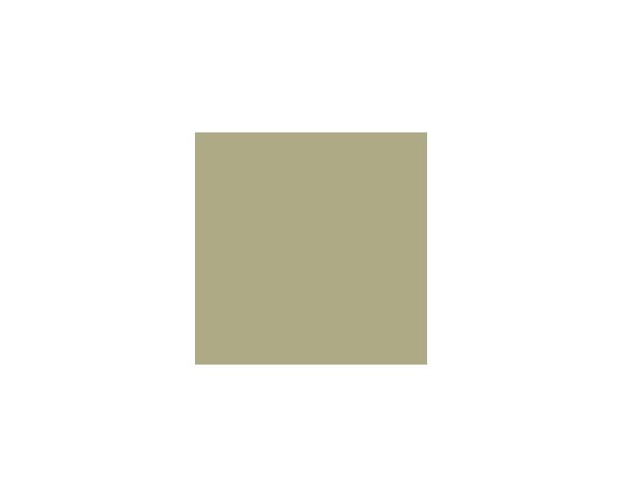 Avocado SW2861 Paint by Sherwin-Williams - modlar.com