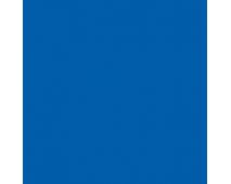 Blueblood SW6966 Paint by Sherwin-Williams - modlar.com