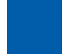 Blueblood SW6966 Paint by Sherwin-Williams - modlar.com