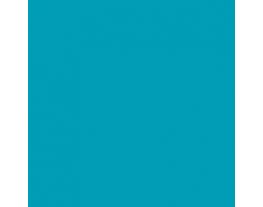 Briny SW6775 Paint by Sherwin-Williams - modlar.com