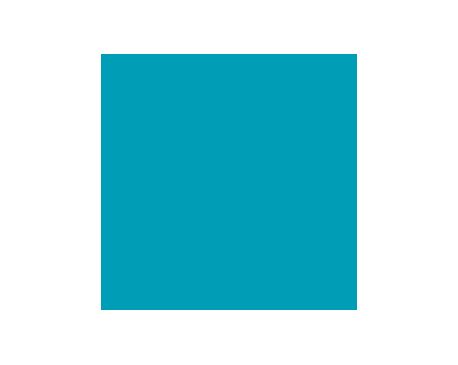 Briny SW6775 Paint by Sherwin-Williams - modlar.com