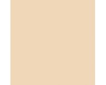 Bagel SW6114 Paint by Sherwin-Williams - modlar.com