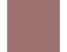 Bateau Brown SW6033 Paint by Sherwin-Williams - modlar.com