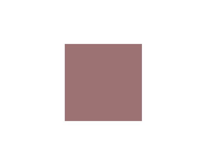 Bateau Brown SW6033 Paint by Sherwin-Williams - modlar.com