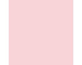 Bella Pink SW6596 Paint by Sherwin-Williams - modlar.com