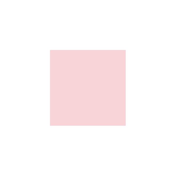 Bella Pink SW6596 Paint by Sherwin-Williams - modlar.com