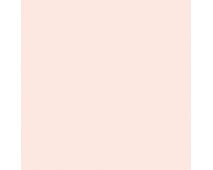 Blushing SW6617 Paint by Sherwin-Williams - modlar.com