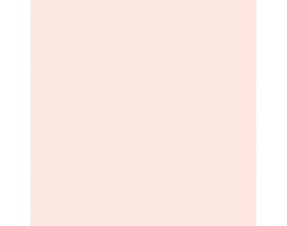 Blushing SW6617 Paint by Sherwin-Williams - modlar.com