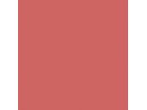 Bravado Red SW6320 Paint by Sherwin-Williams - modlar.com