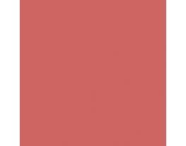 Bravado Red SW6320 Paint by Sherwin-Williams - modlar.com