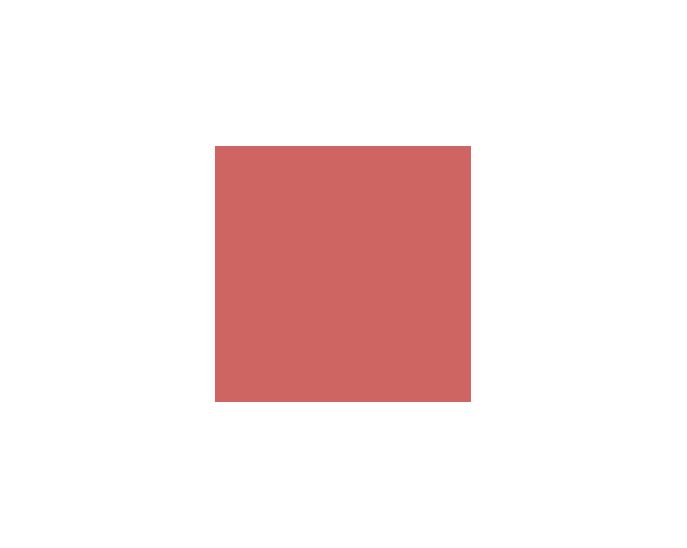 Bravado Red SW6320 Paint by Sherwin-Williams - modlar.com