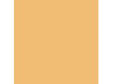 Bakelite Gold SW6368 Paint by Sherwin-Williams - modlar.com