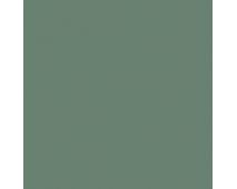 Basil SW6194 Paint by Sherwin-Williams - modlar.com