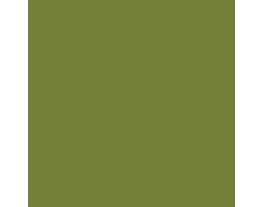 Basque Green SW6426 Paint by Sherwin-Williams - modlar.com