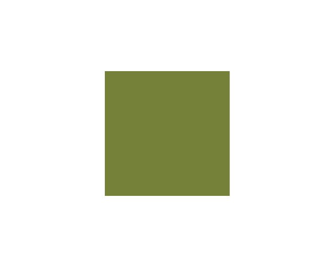 Basque Green SW6426 Paint by Sherwin-Williams - modlar.com