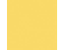 Bee SW6683 Paint by Sherwin-Williams - modlar.com