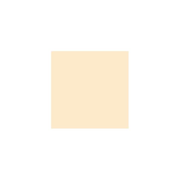 Belvedere Cream SW0067 Paint by Sherwin-Williams - modlar.com