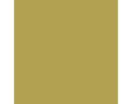 Bengal Grass SW6411 Paint by Sherwin-Williams - modlar.com