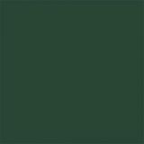 Billiard Green SW0016 Paint by Sherwin-Williams - modlar.com