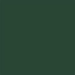 Billiard Green Sherwin Williams