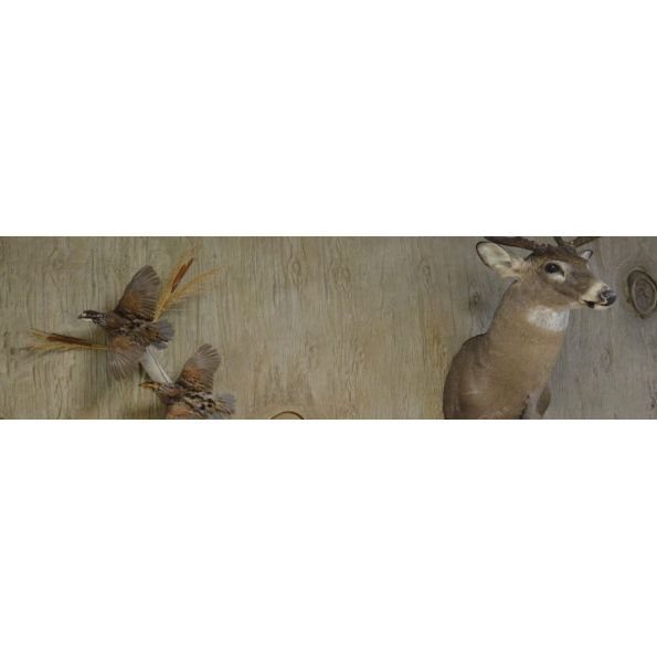 Wall Stamp - Concrete Wall Stamp Thick Build Overlay - modlar.com