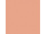 Caribbean Coral SW2854 Paint by Sherwin-Williams - modlar.com