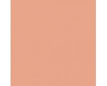 Caribbean Coral SW2854 Paint by Sherwin-Williams - modlar.com