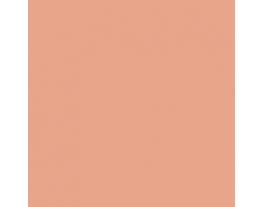 Caribbean Coral SW2854 Paint by Sherwin-Williams - modlar.com