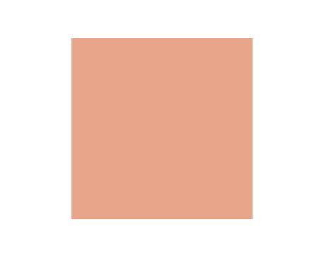 Caribbean Coral SW2854 Paint by Sherwin-Williams - modlar.com
