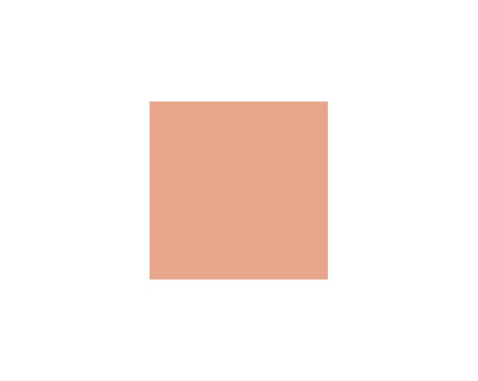 Caribbean Coral SW2854 Paint by Sherwin-Williams - modlar.com