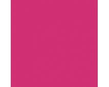 Cerise SW6580 Paint by Sherwin-Williams - modlar.com