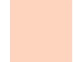 Certain Peach SW6625 Paint by Sherwin-Williams - modlar.com