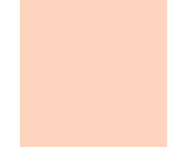 Certain Peach SW6625 Paint by Sherwin-Williams - modlar.com
