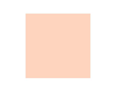 Certain Peach SW6625 Paint by Sherwin-Williams - modlar.com