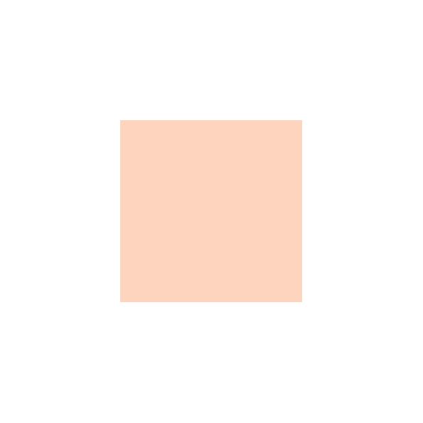 Certain Peach SW6625 Paint by Sherwin-Williams - modlar.com