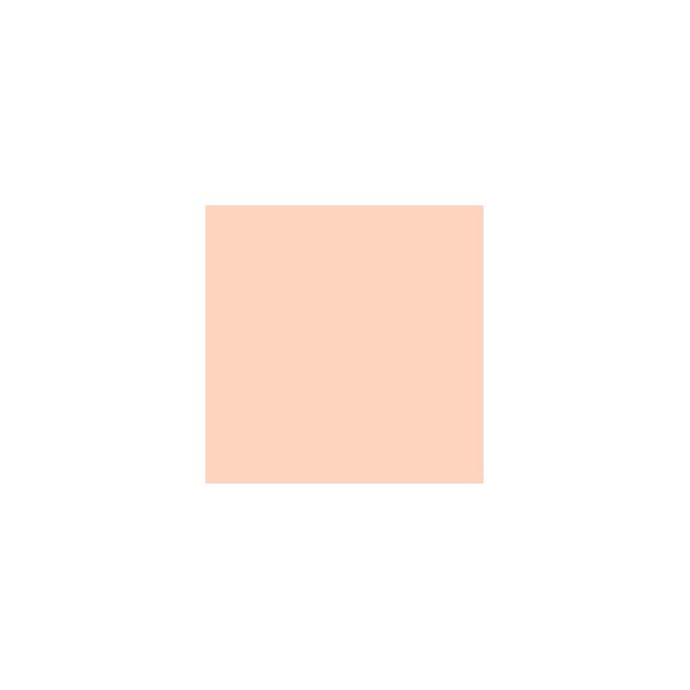 Certain Peach SW6625 Paint by Sherwin-Williams - modlar.com