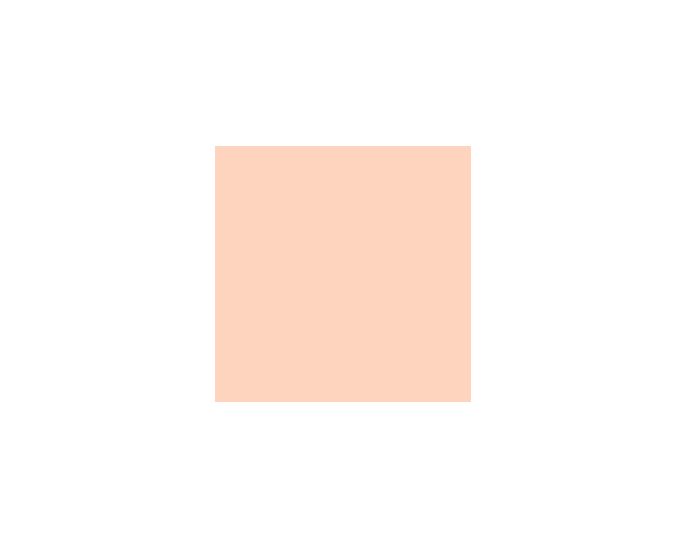 Certain Peach SW6625 Paint by Sherwin-Williams - modlar.com